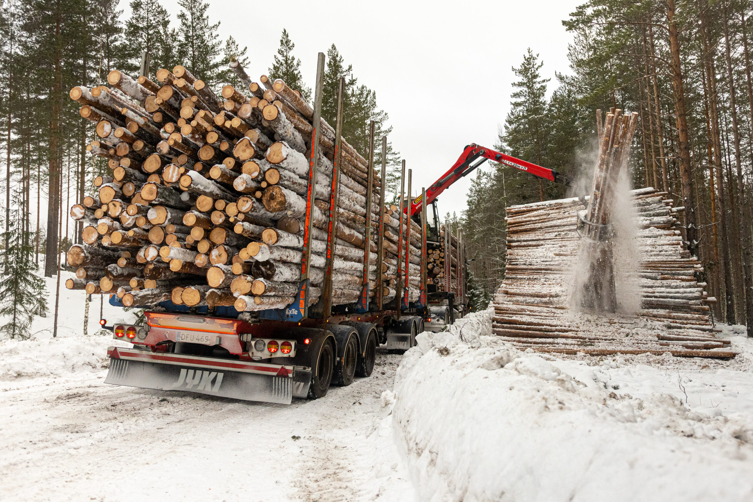 Ilmavoimien kuskista metsäalan ytimeen - Varusmies